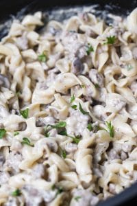 Slow Cooker Ground Turkey Stroganoff • (VIDEO) Kroll's Korner