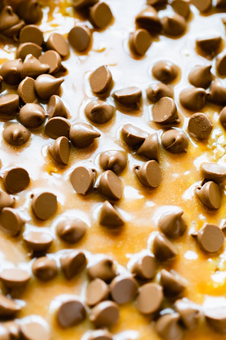 Caramel Chocolate Bars • Kroll's Korner