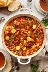 Actually Good Homemade Vegetable Soup • Kroll's Korner