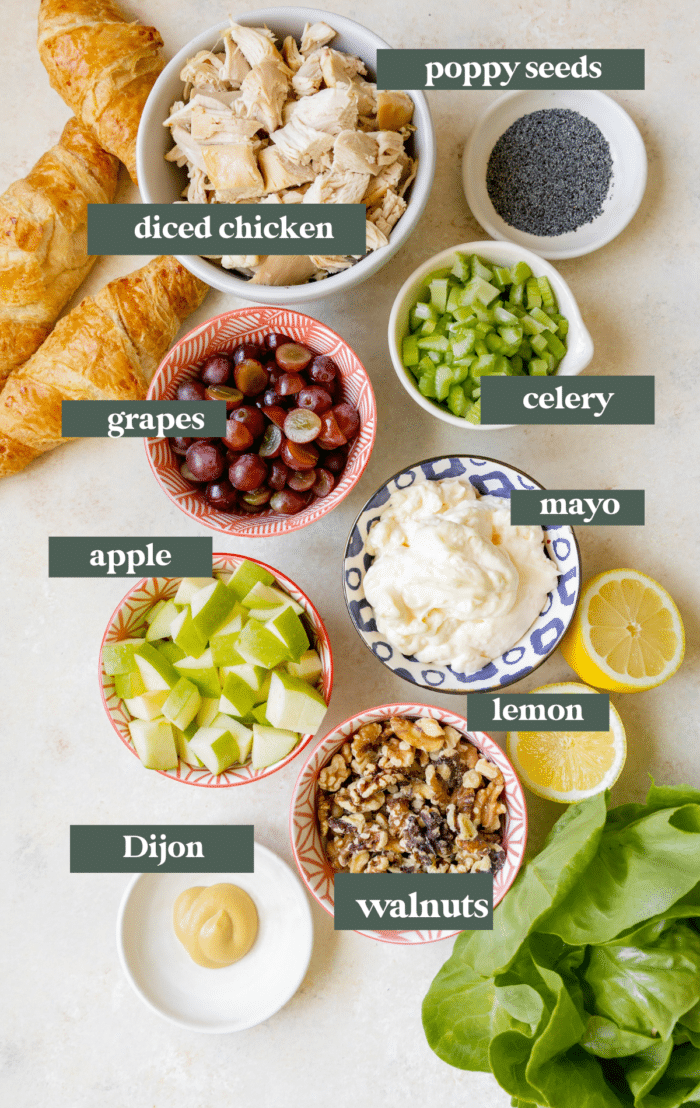 Chicken Waldorf Salad • Kroll's Korner