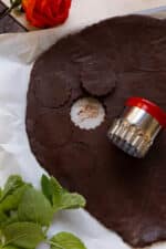 Homemade Thin Mints (Girl Scout Copycat!)