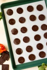 Homemade Thin Mints (Girl Scout Copycat!)