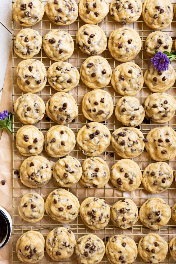Mini Chocolate Chip Cookies • Kroll's Korner