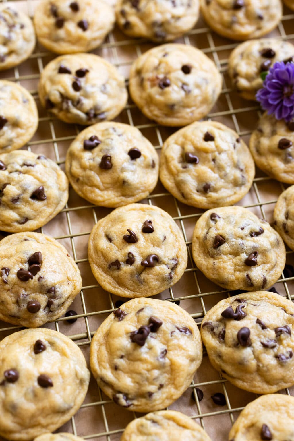 Mini Chocolate Chip Cookies • Kroll's Korner